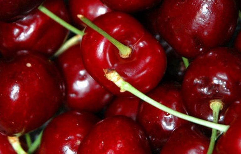 CHERRY ‘ROMEO’ – Morden Nurseries & Garden Centre