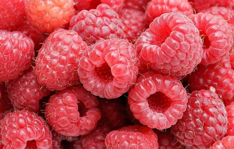 RASPBERRY ‘BOYNE’ – Morden Nurseries & Garden Centre
